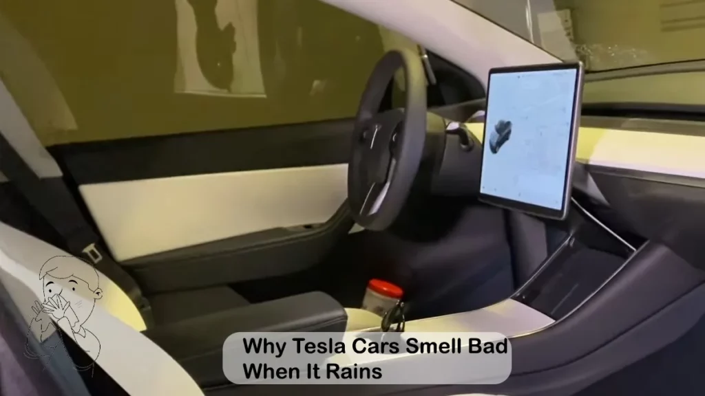 Why Tesla Cars Smell Bad When It Rains: A Complete Guide - Ev Seekers